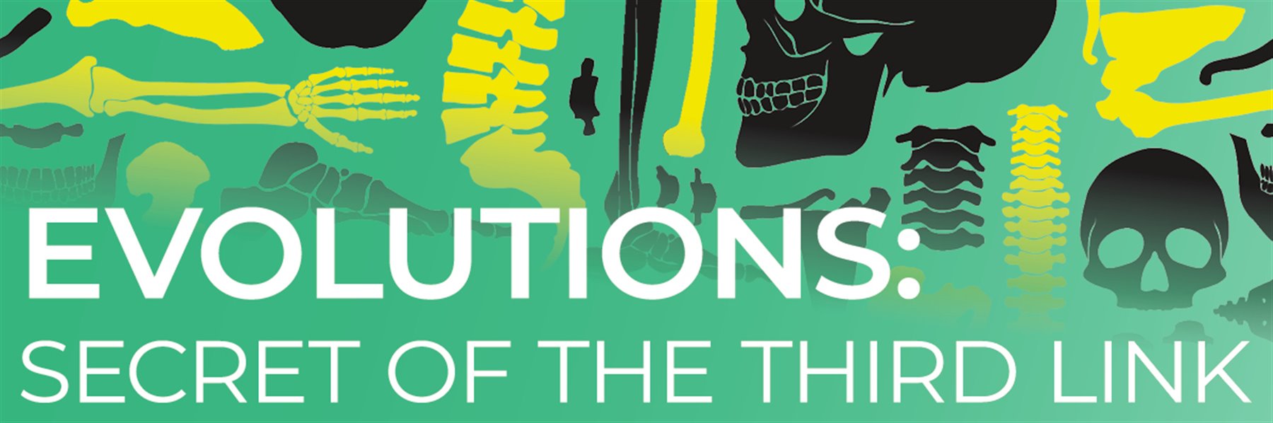 Evolution: the mystery of the third link by Trickster Games | TKT.GE